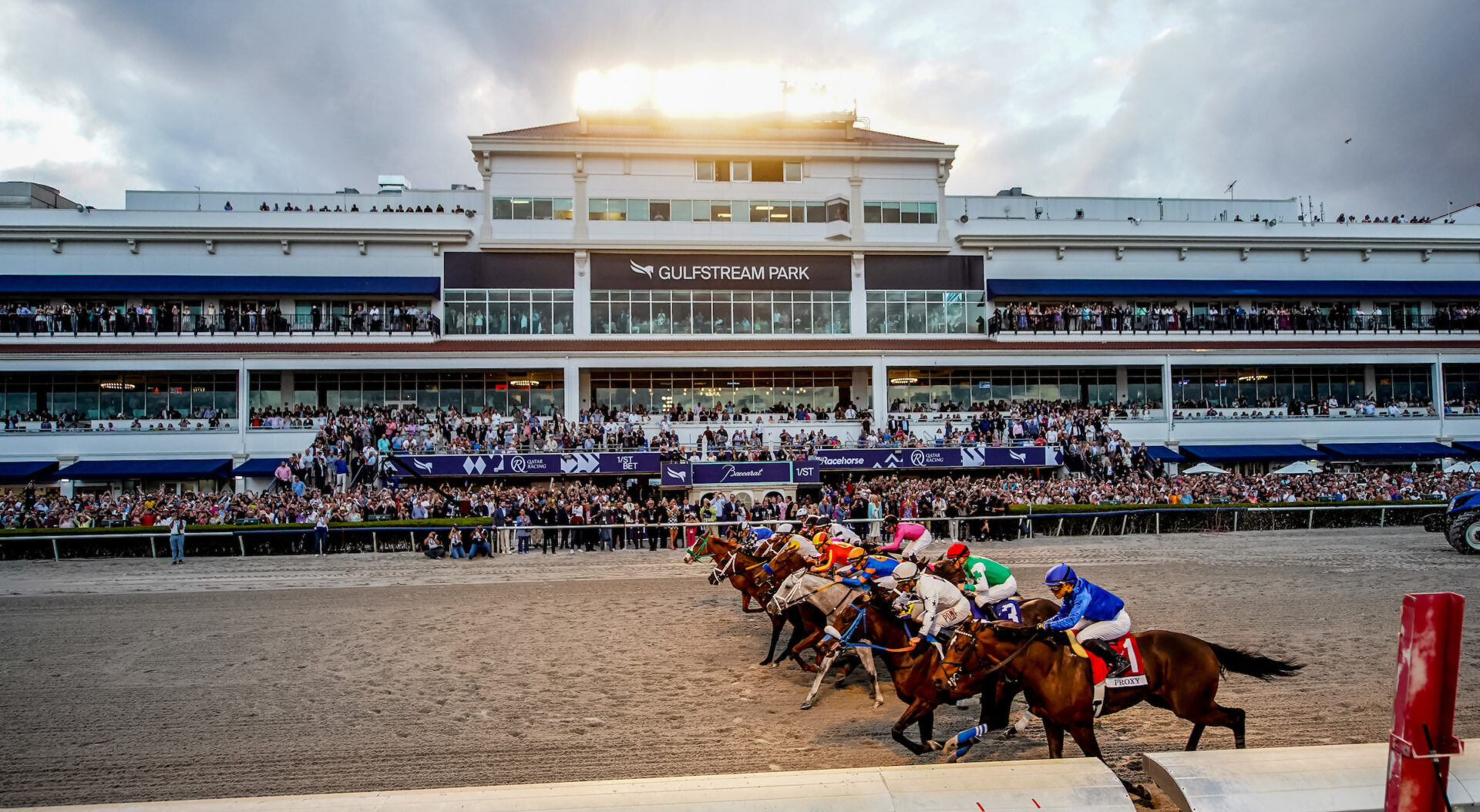 These MUST KNOW Facts About the Pegasus World Cup Field
