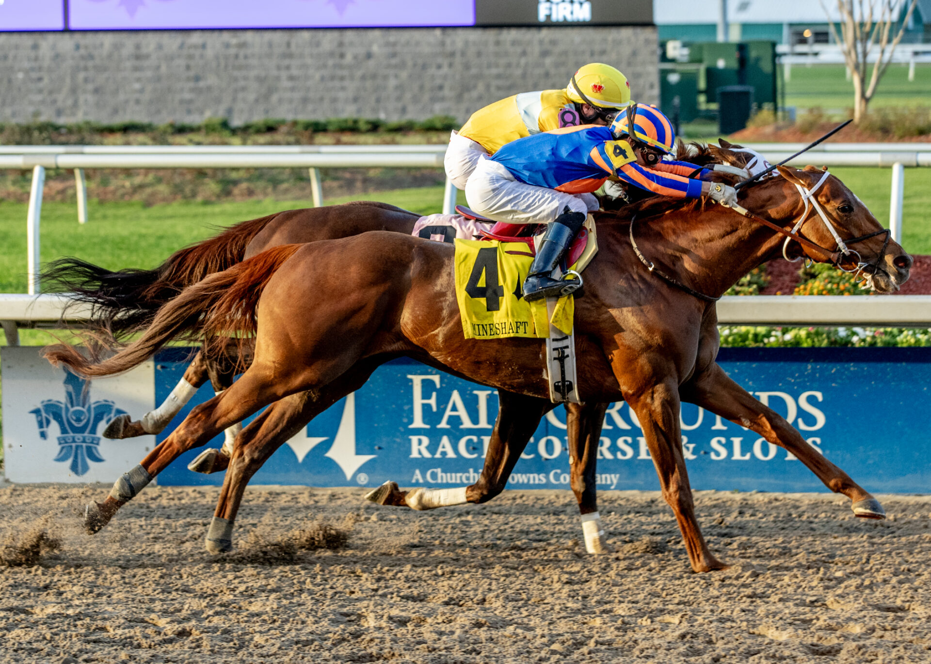 Blame Stakes Picks and Preview 2025 - Racing Dudes