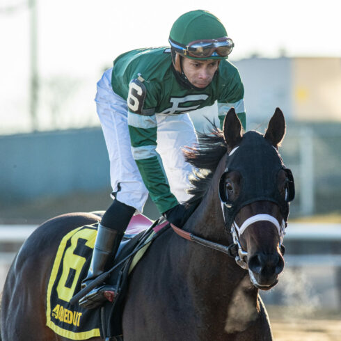 Horse Racing Picks, Entries, News & Results | Racing Dudes