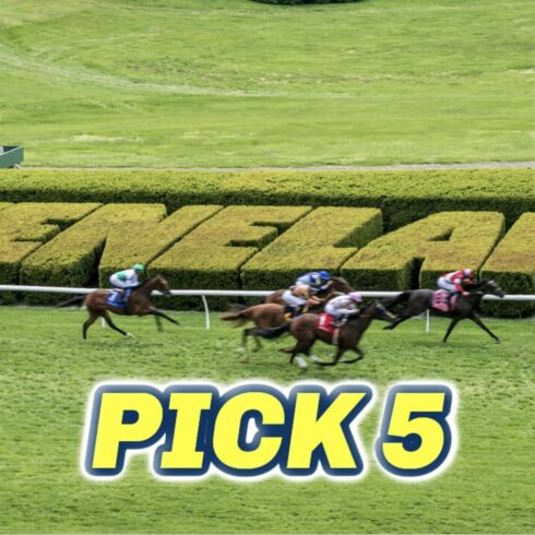 Horse Racing Wagering Calculator - Racing Dudes