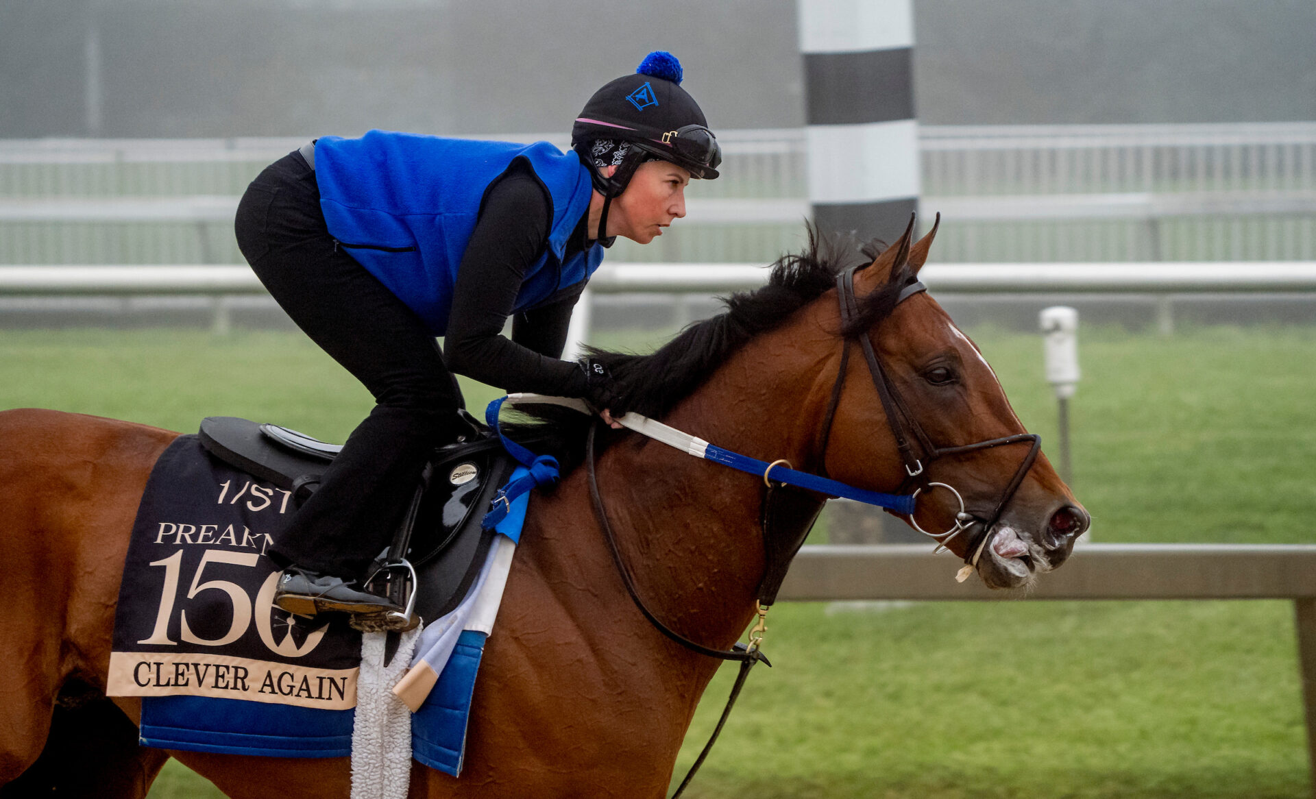Clever Again Has a Really Good Chance to Win Preakness Stakes