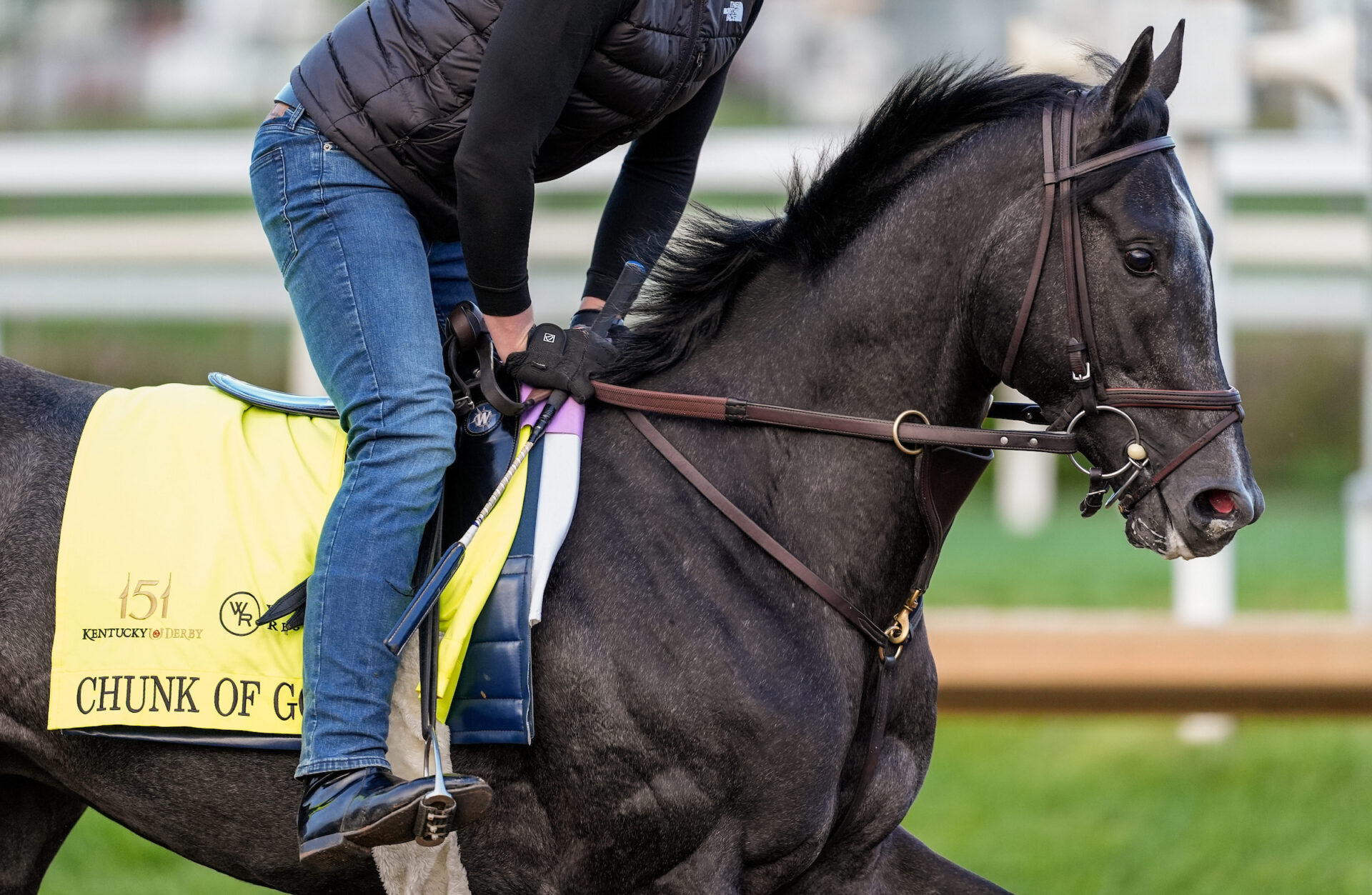 Ohio Derby Day FREE Picks & Plays at Thistledown | June 21, 2025