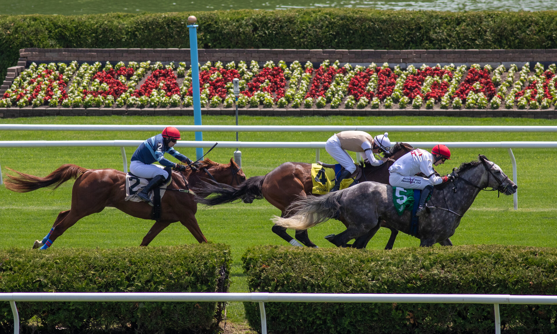 Top Horse Races to Watch This Summer 2025 - Racing Dudes