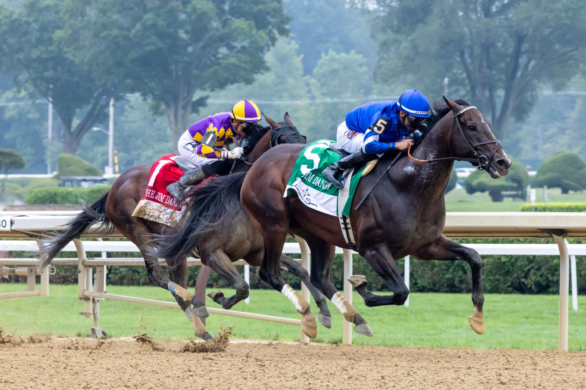 Weekend Recap | Sovereignty Keeps Rolling in Jim Dandy Stakes - Racing ...