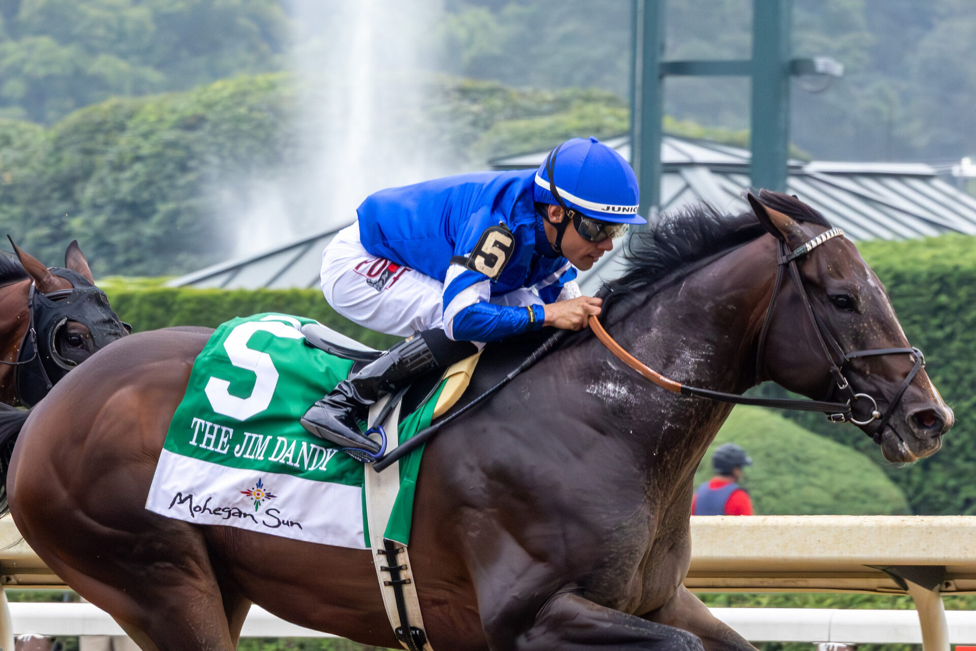 Sovereignty Wins 2025 Jim Dandy at Saratoga, Eyes Travers Next