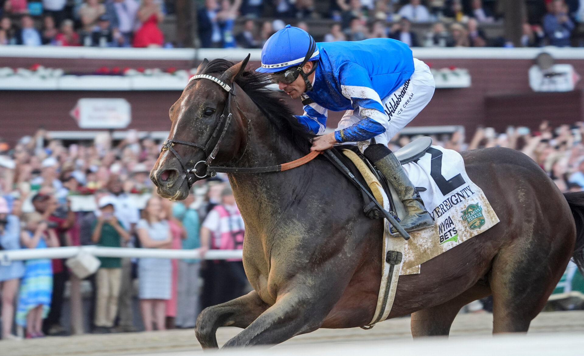 2025 Jim Dandy Stakes Picks & Preview: Sovereignty Headlines Saratoga ...