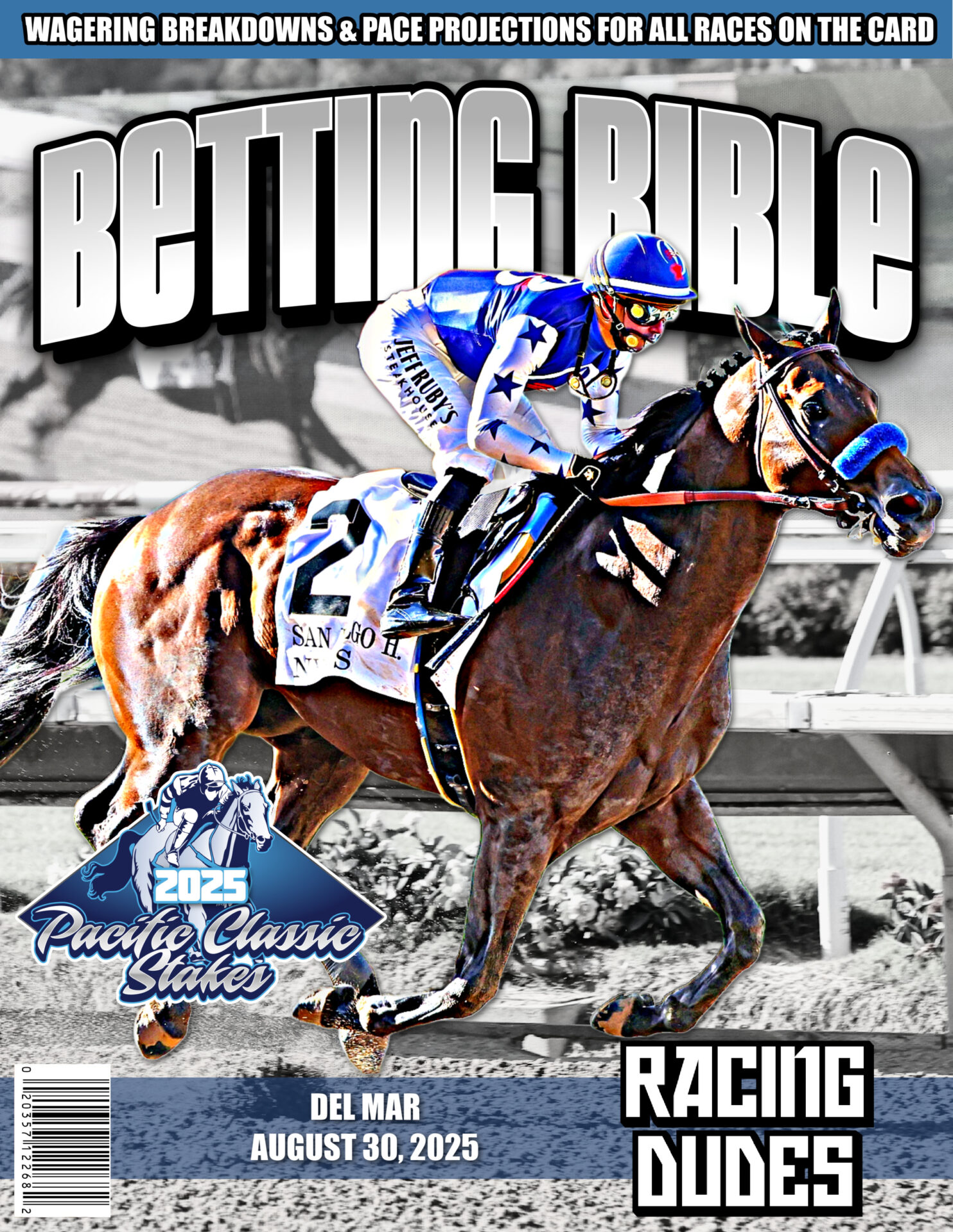 Horse Racing Handicapping | Horse Betting Tips, Terms, and Picks