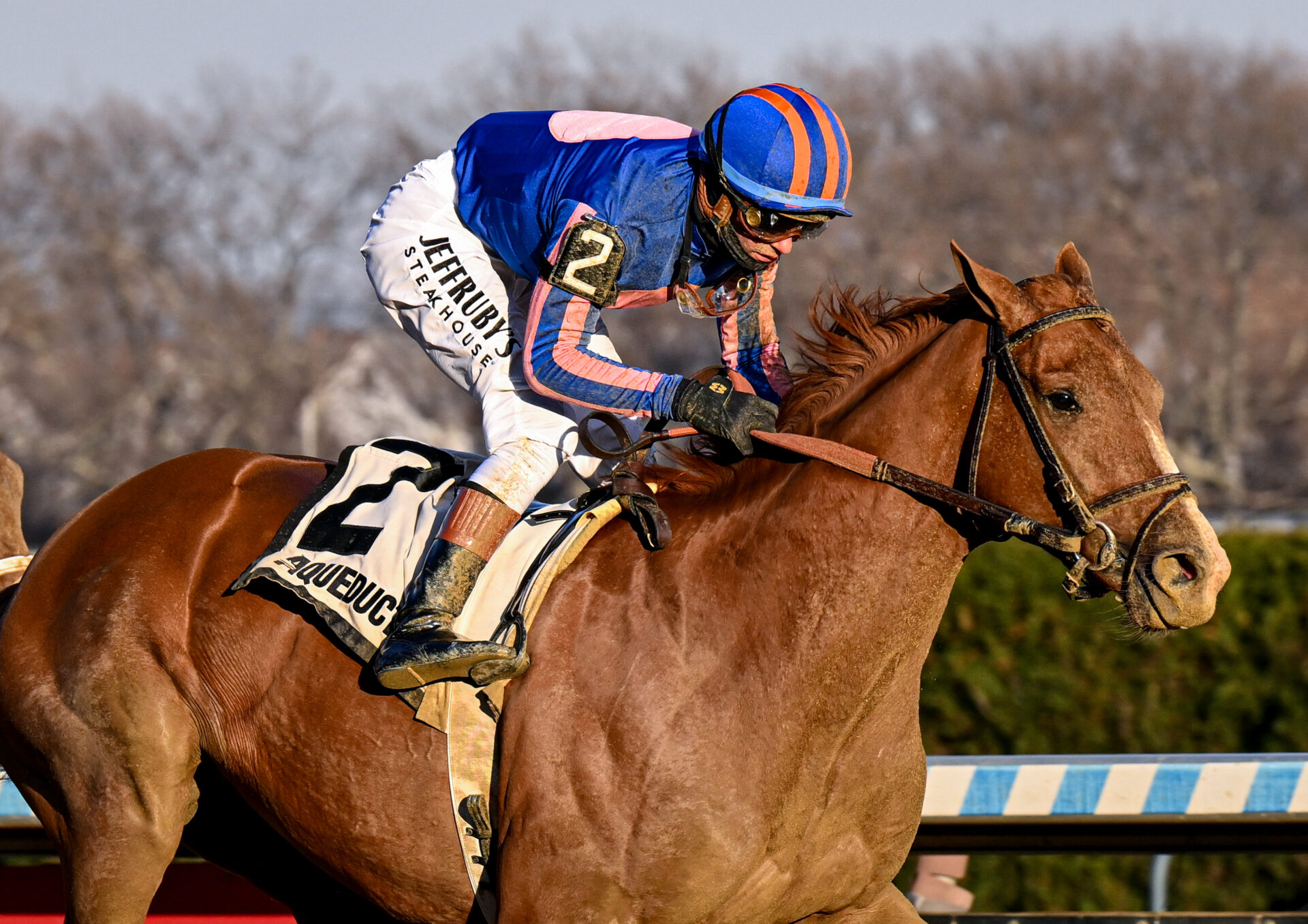 Risen Star Stakes 2026 Picks and Preview | Kentucky Derby Prep Race ...