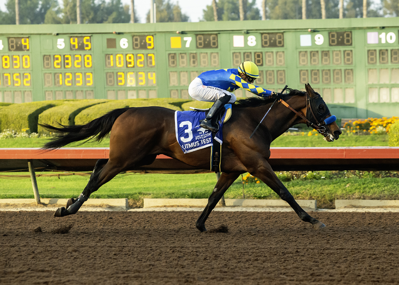 Triple Crown 2026 Racing Dudes Fantasy League Update: Major Preps ...