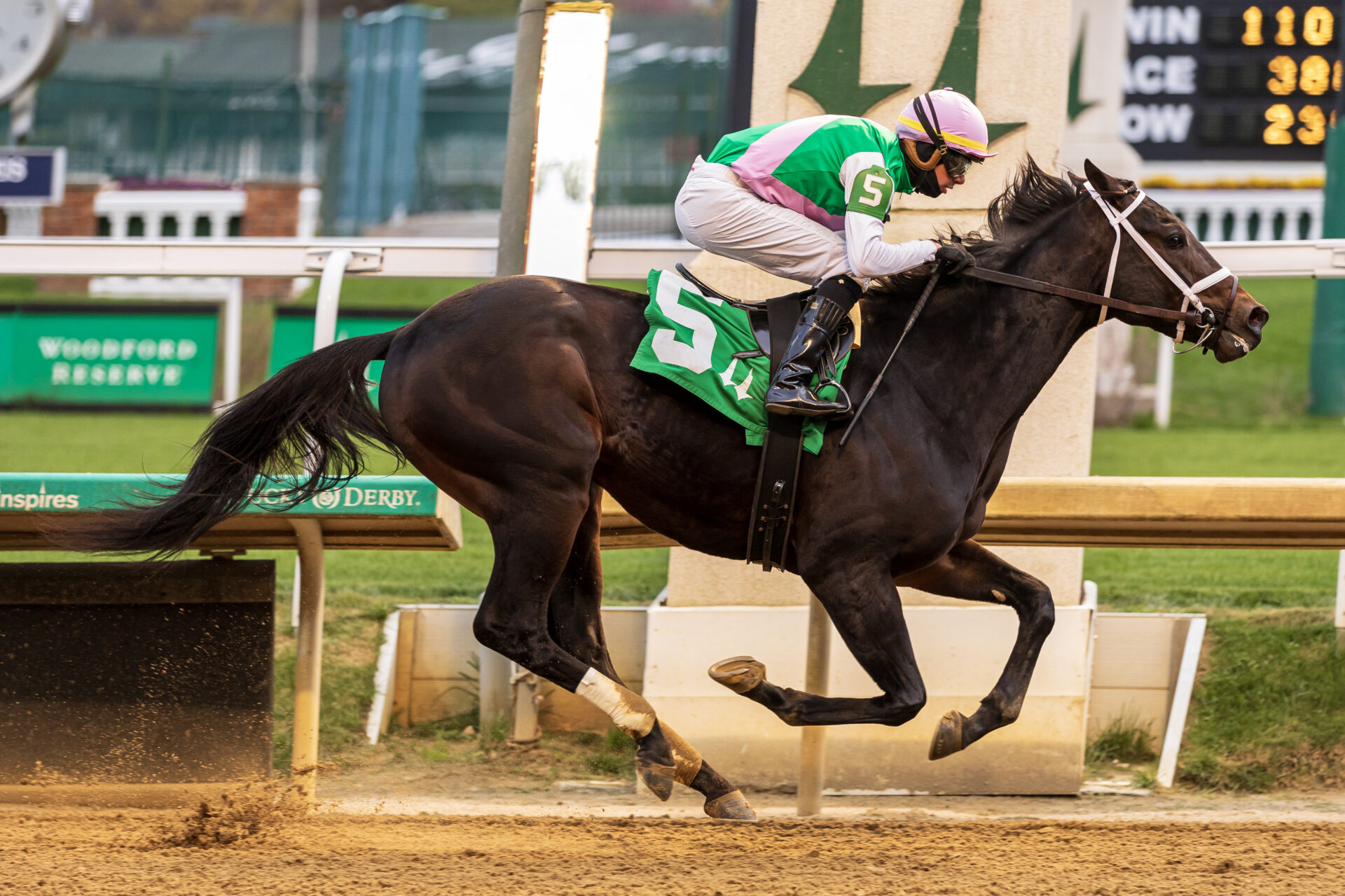Pegasus World Cup Picks and Preview 2026 | Cox Duo Looms Large in Major ...