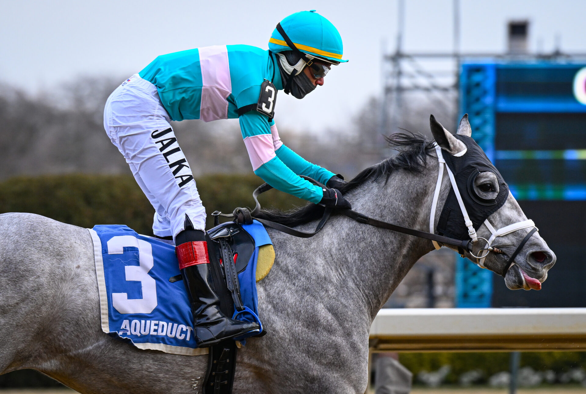 Triple Crown 2026 Racing Dudes Fantasy League Update: My World ...