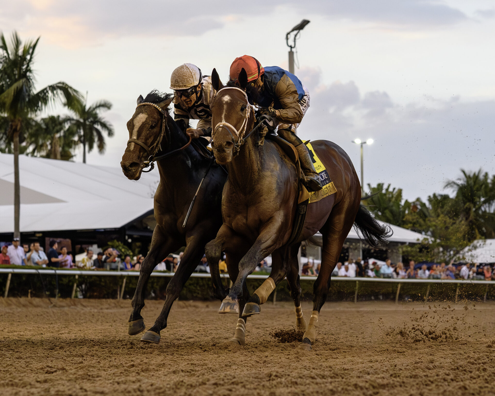 Commandment Passes Two-Turn Test in G2 Fountain of Youth - Racing Dudes