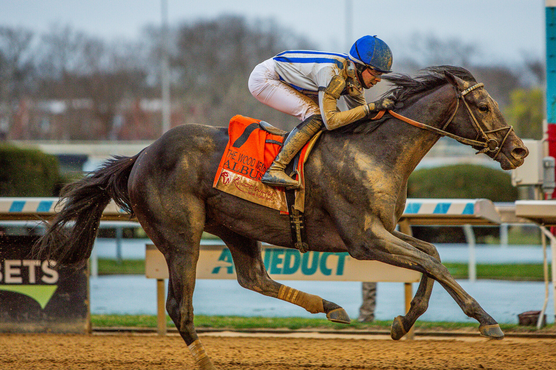 Albus Punches Derby Ticket with Wood Memorial Win - Racing Dudes