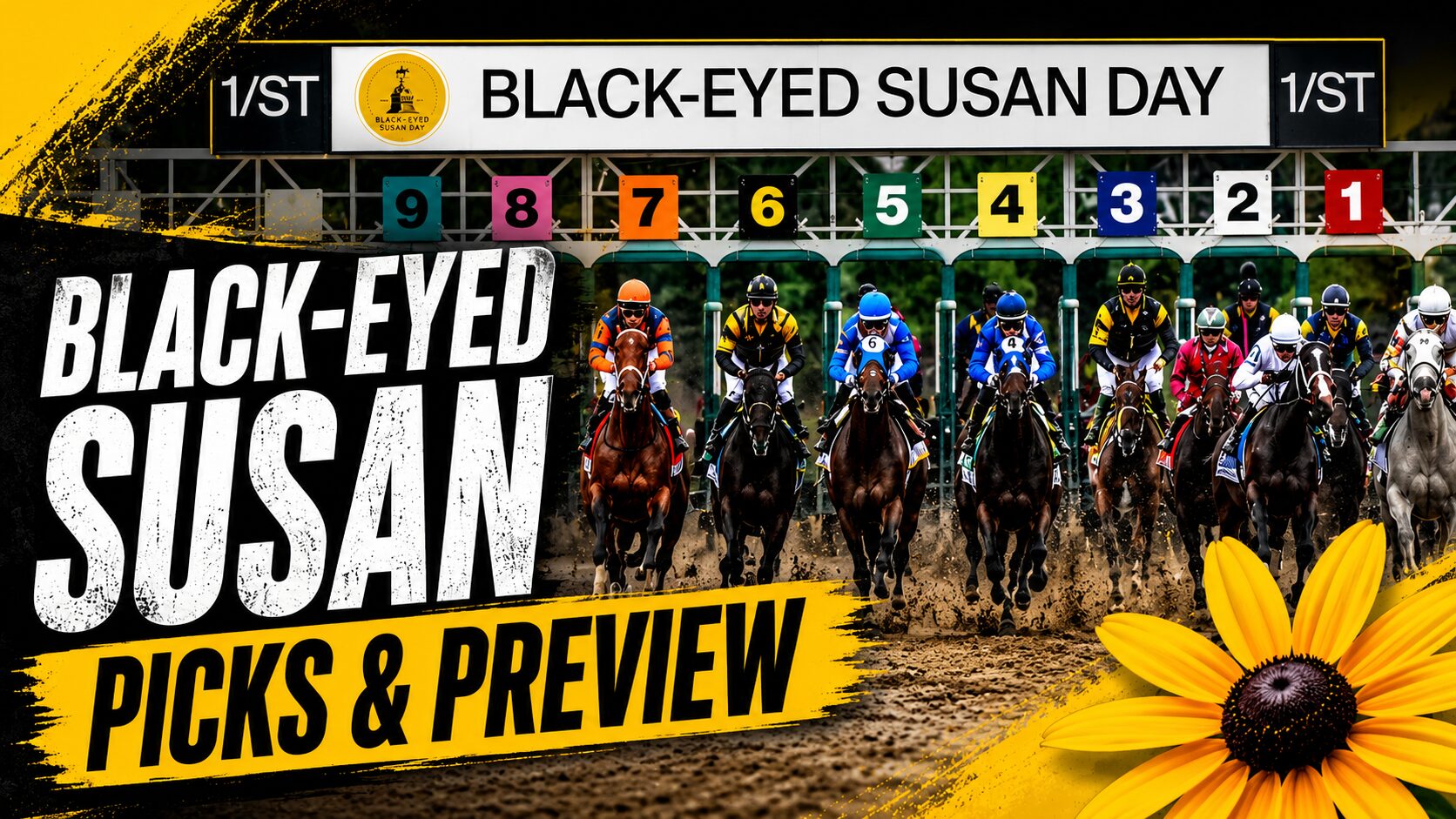 2026 Black-Eyed Susan Stakes Picks & Preview | Best Bets, Predictions ...
